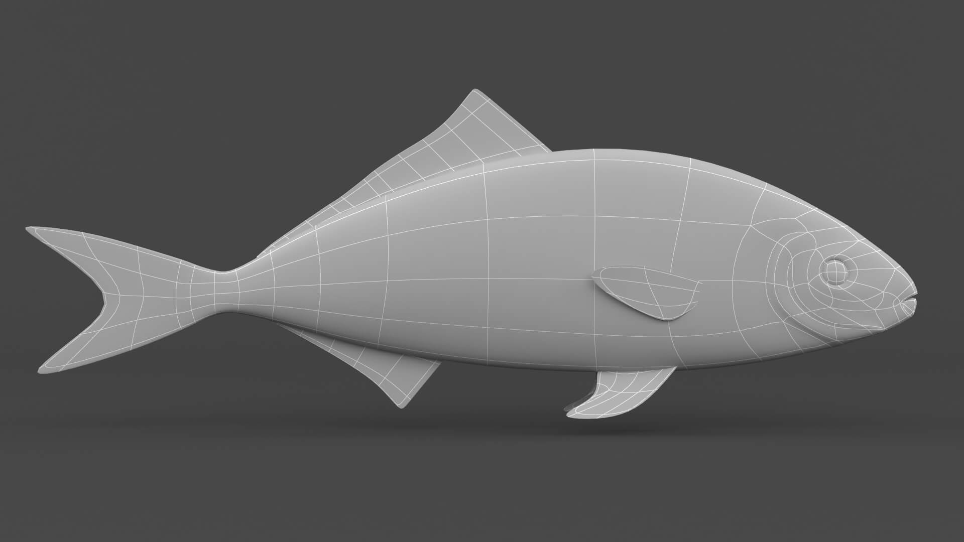 Amberjack Fish - 3D Model by Javidan
