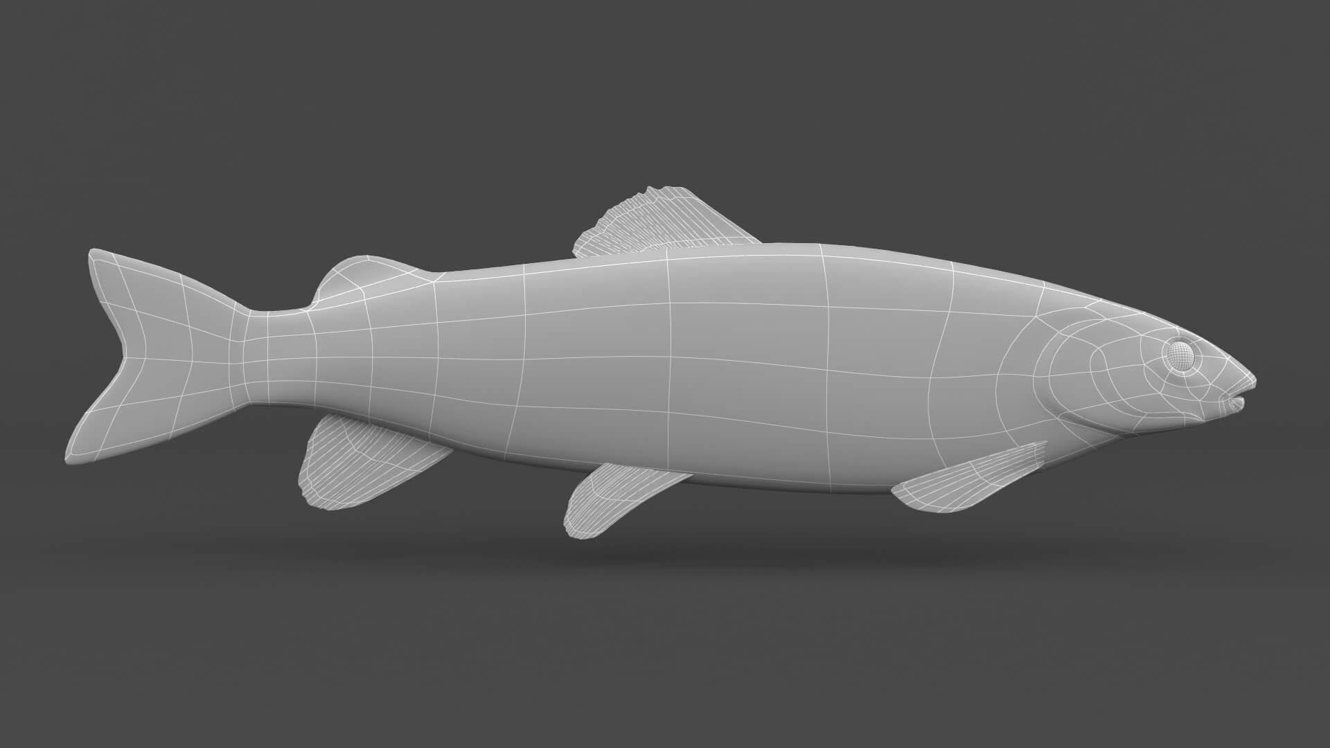 Fish Lenok Model by Javidan