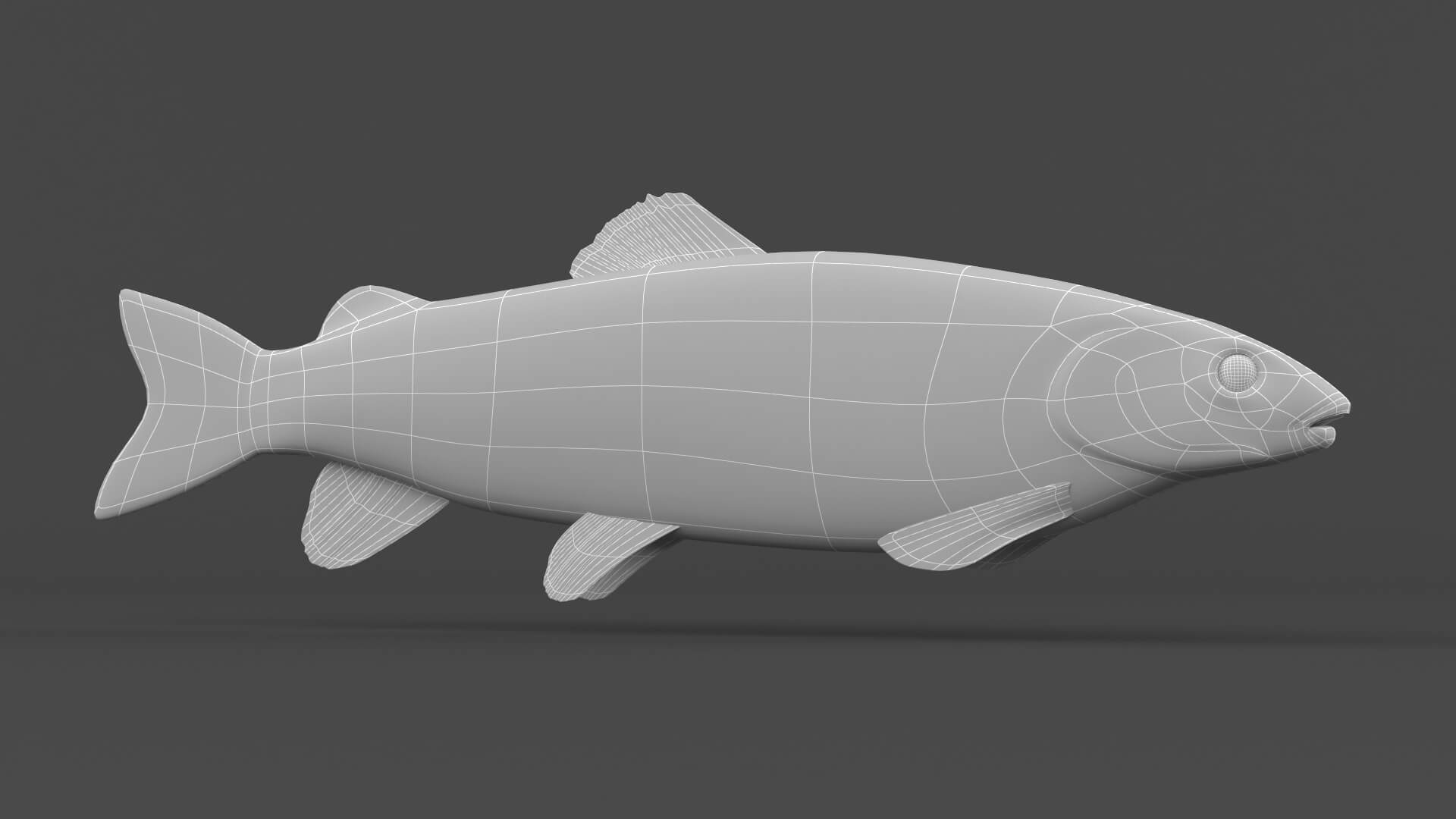Fish Lenok Model by Javidan