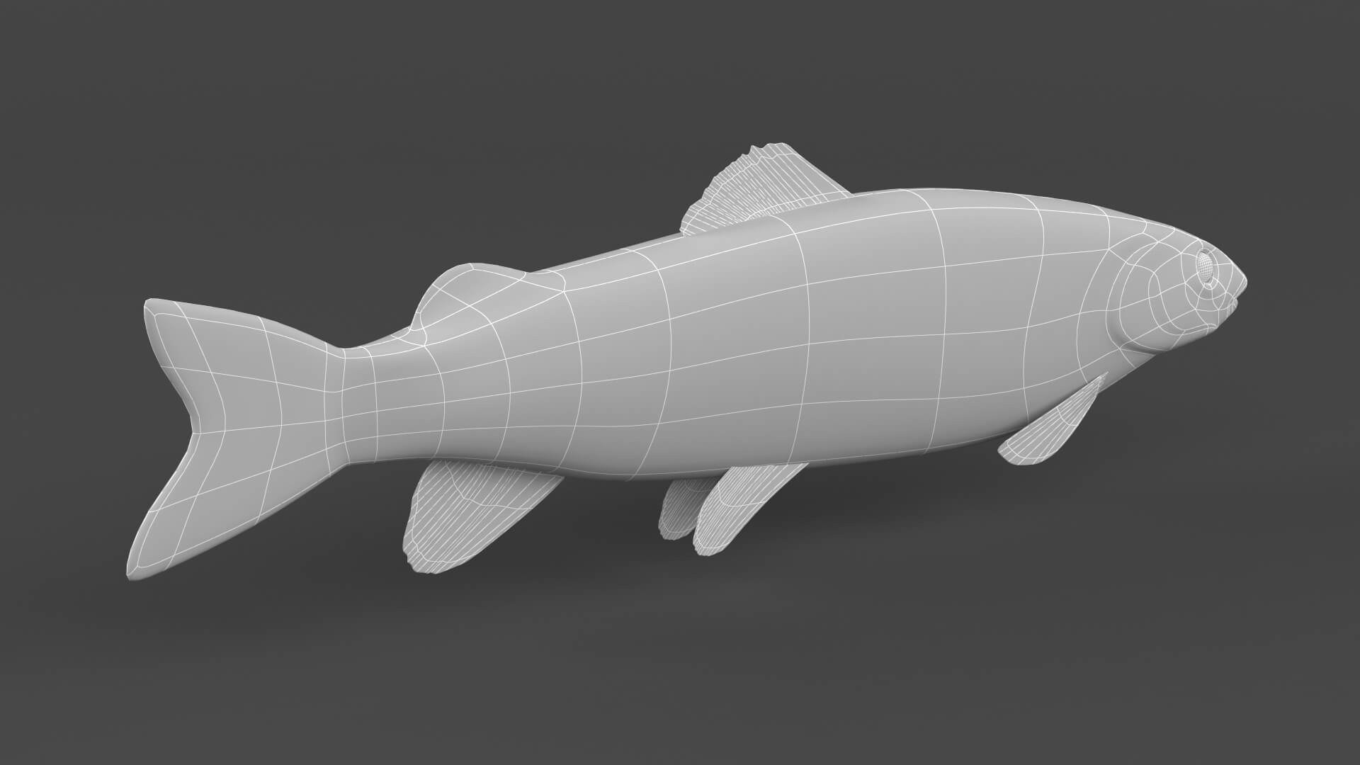 Fish Lenok Model by Javidan