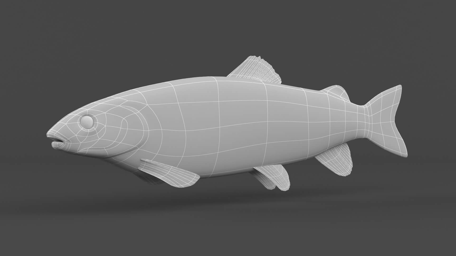 Fish Lenok Model by Javidan