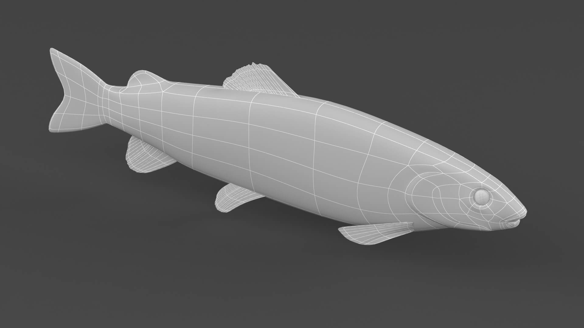 Fish Lenok Model by Javidan