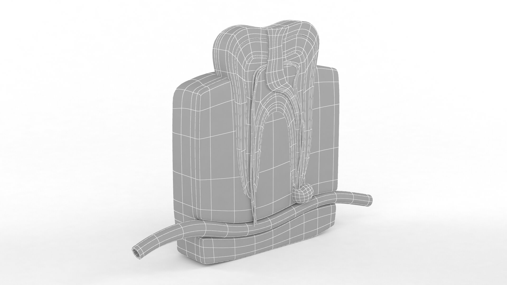 Human Tooth Anatomy - 3D Model by Javidan