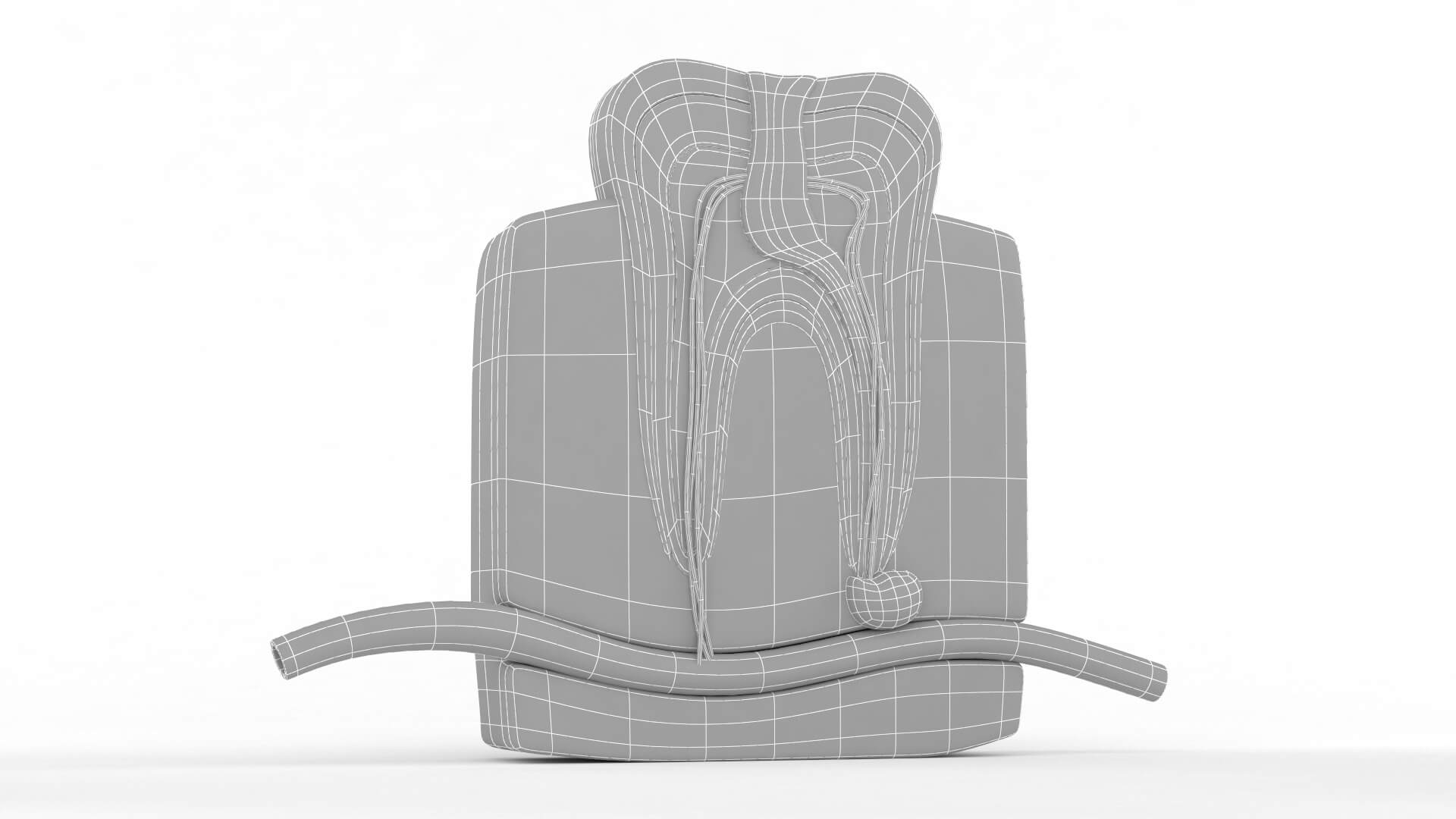 Human Tooth Anatomy - 3D Model by Javidan