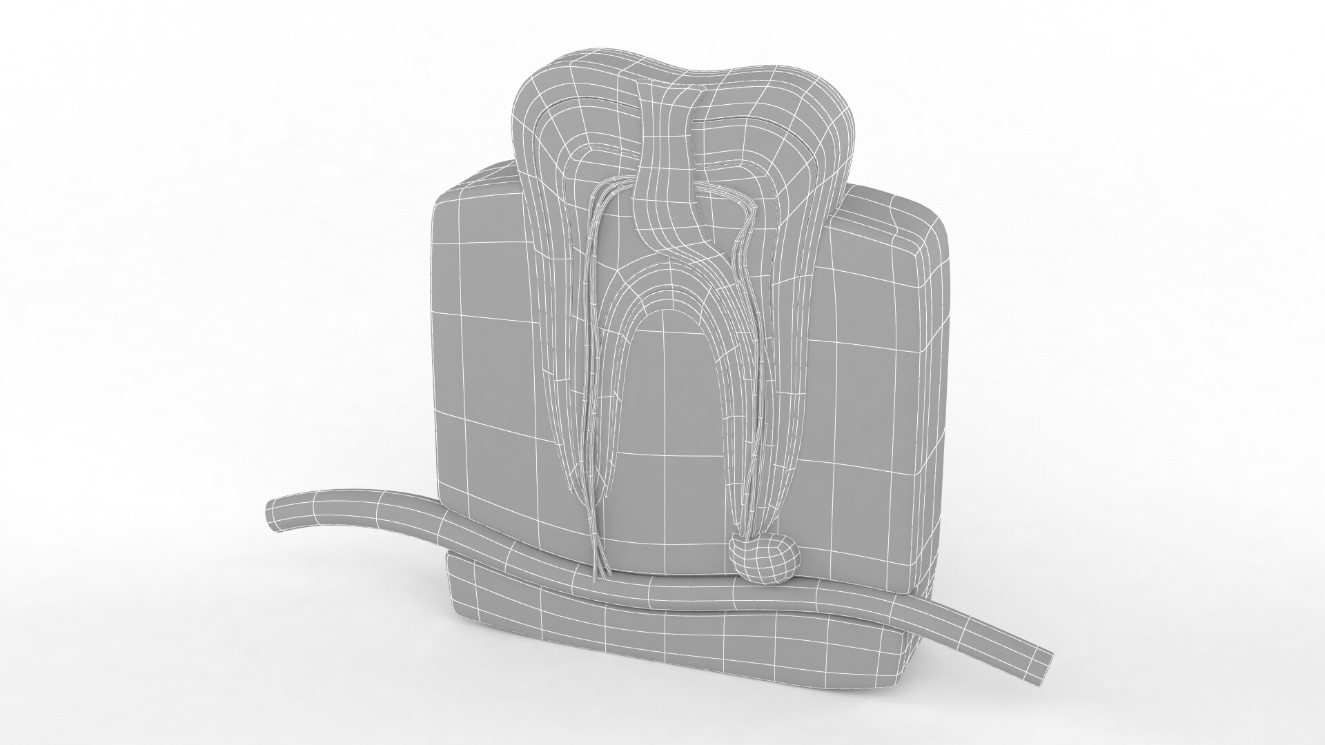 Human Tooth Anatomy - 3D Model by Javidan