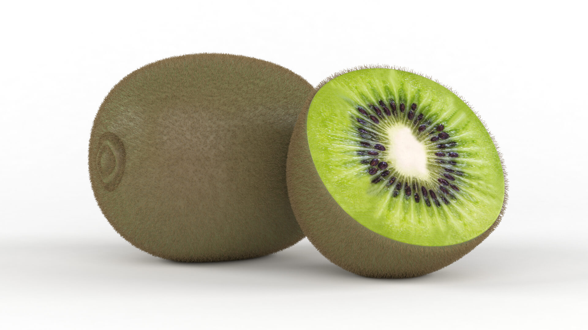 Kiwi Fruit Model by Javidan