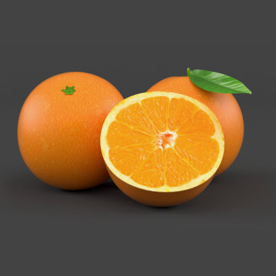 Javidan | 3D Models | Fruit