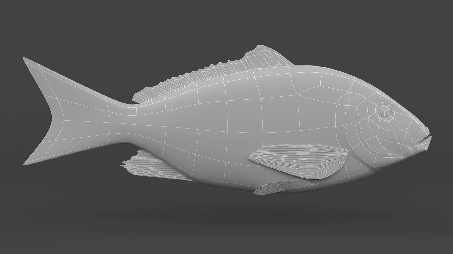 Red Snapper Fish - 3D Model by Javidan