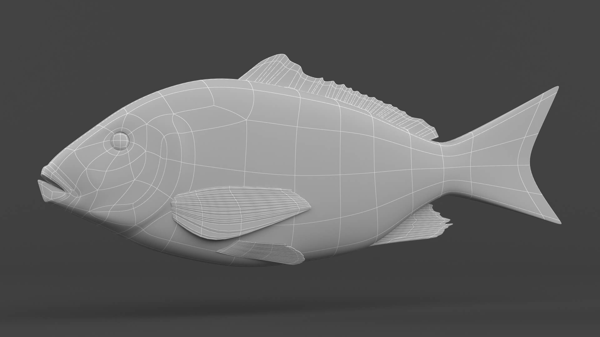 Red Snapper Fish - 3D Model by Javidan