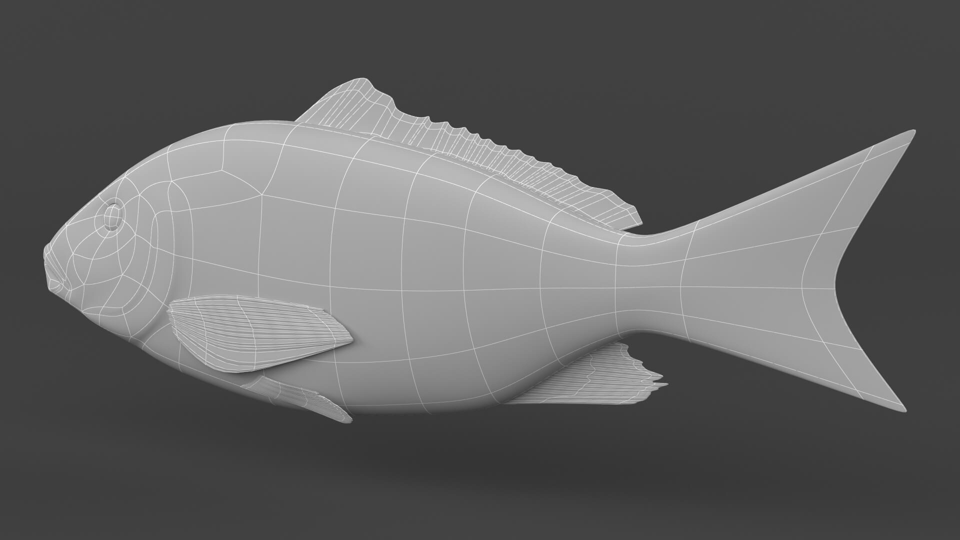Red Snapper Fish - 3D Model by Javidan