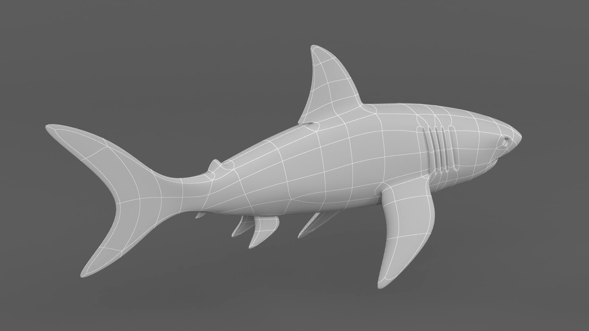 White Shark Model by Javidan