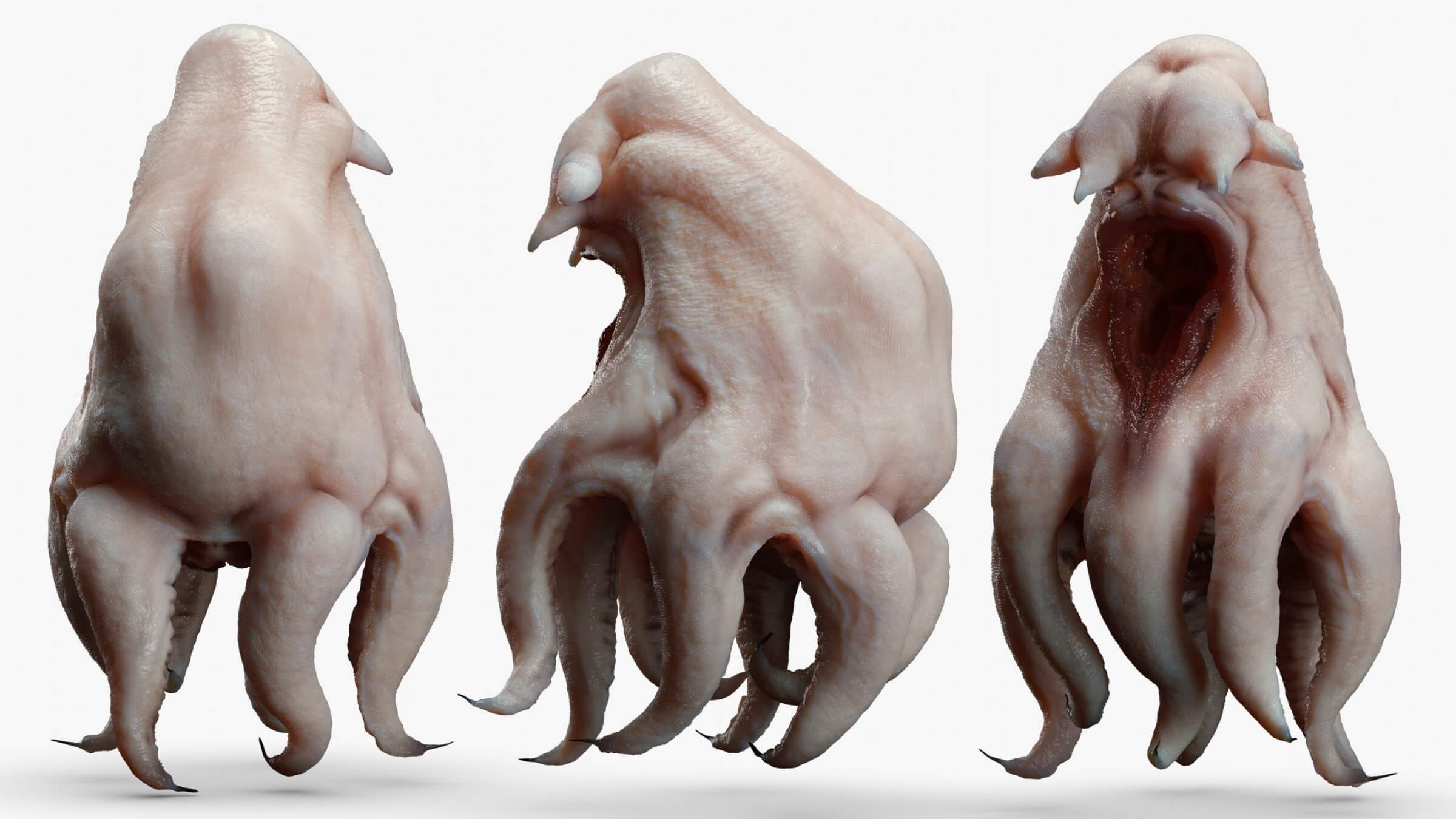 Alien Parasite - 3D Model by jebcg