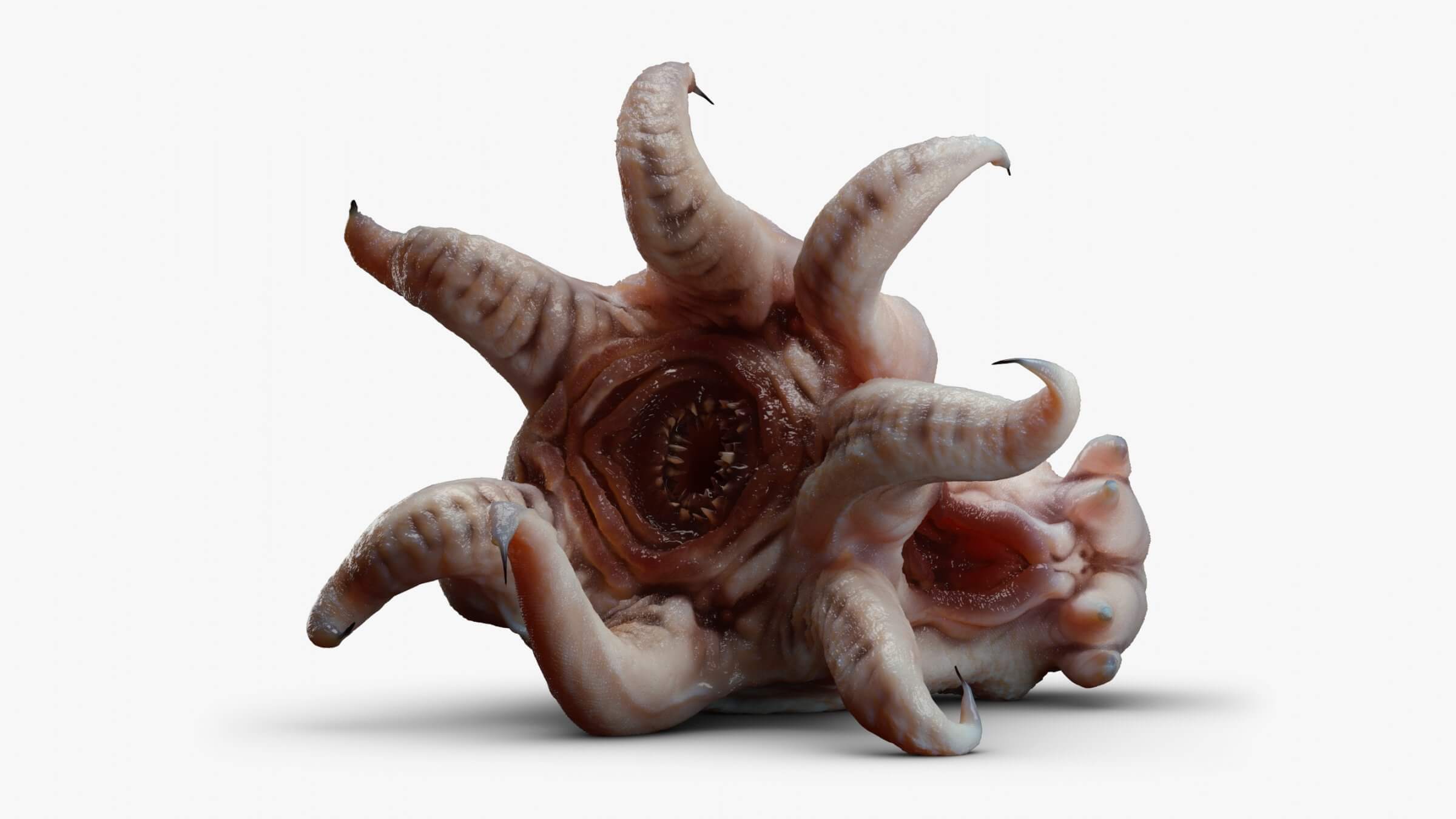 Alien Parasite - 3D Model by jebcg