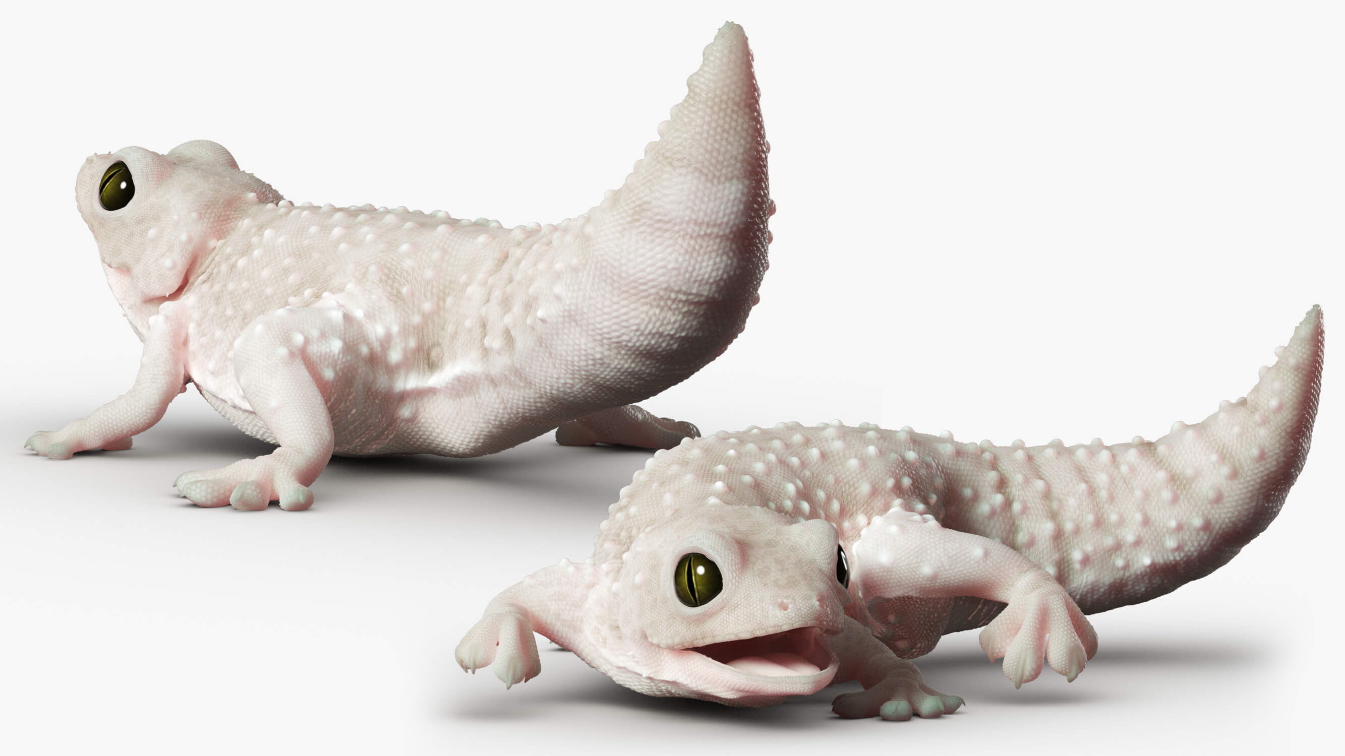 Gecko Reptile 3DS Max - 3D Model by jebcg
