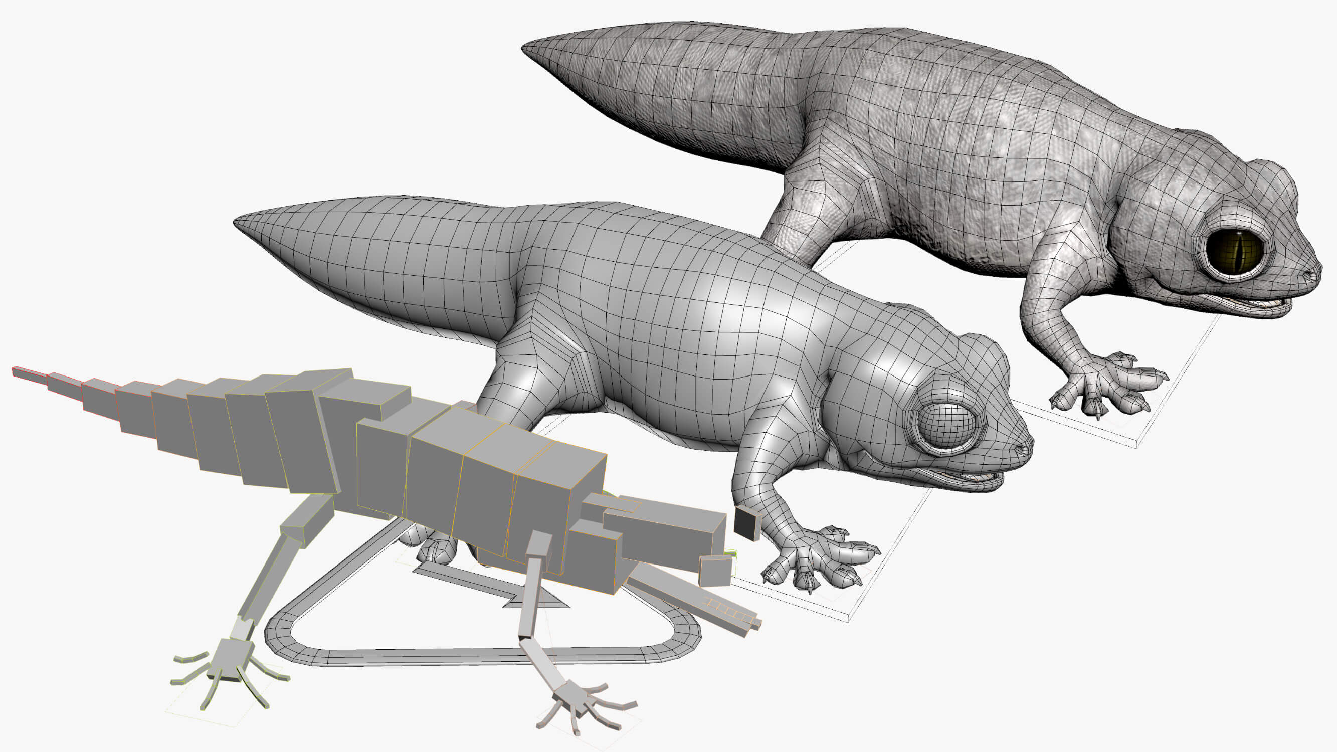 Gecko Reptile 3DS Max - 3D Model by jebcg