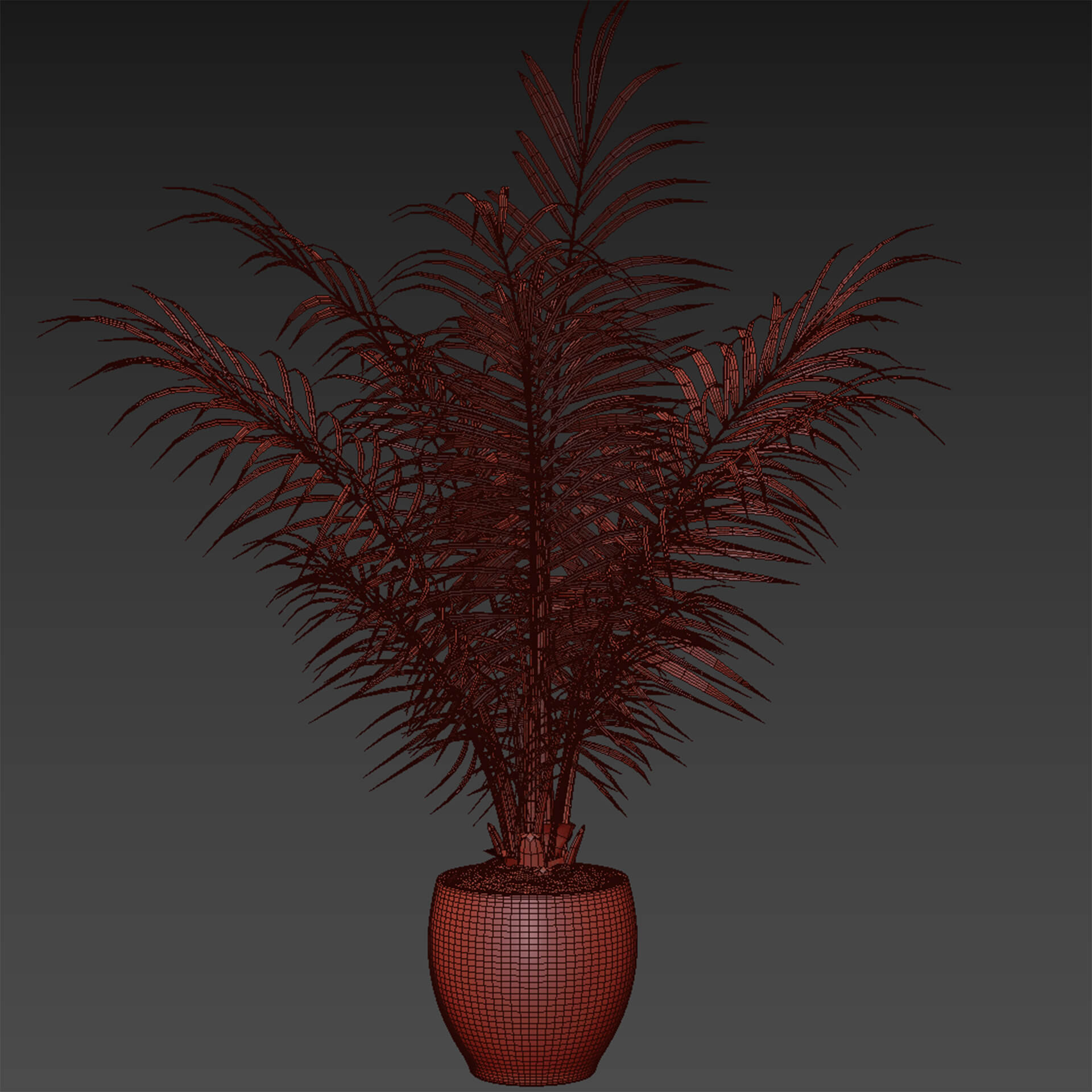 Parlor Palm Plants - 3D Model by jemsjamjo