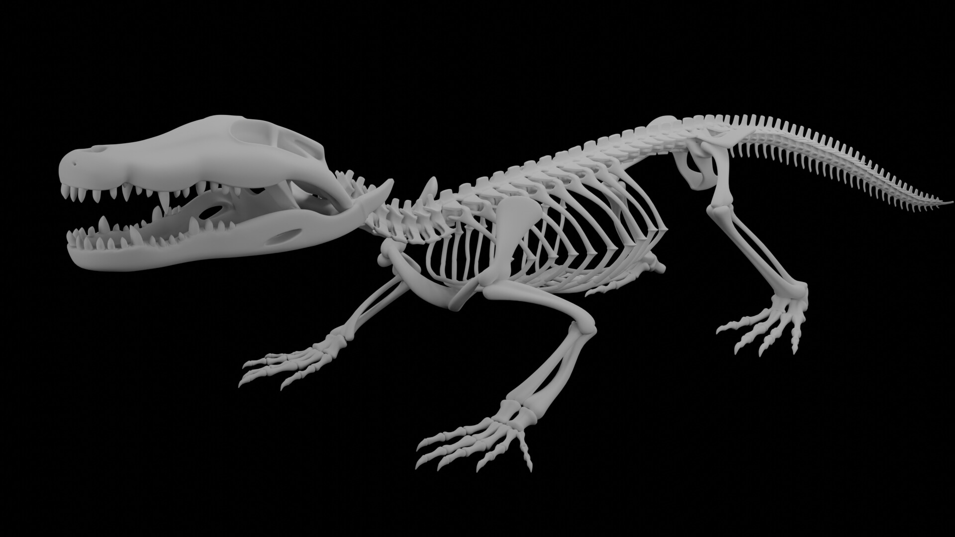 Crocodile Skeleton 3D Model – Highly Detailed, Clean T by Jerry10