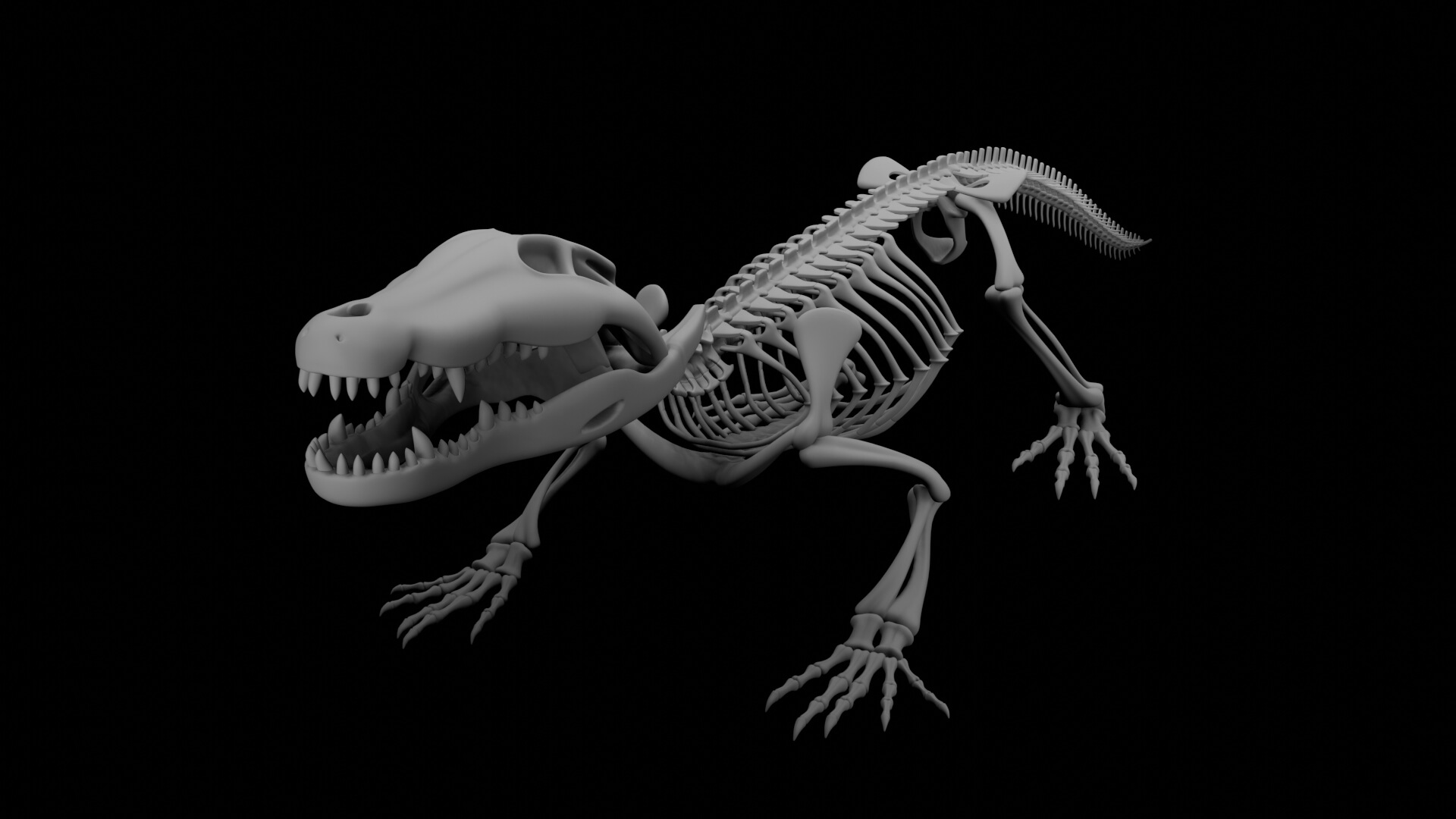 Crocodile Skeleton 3D Model – Highly Detailed, Clean T by Jerry10