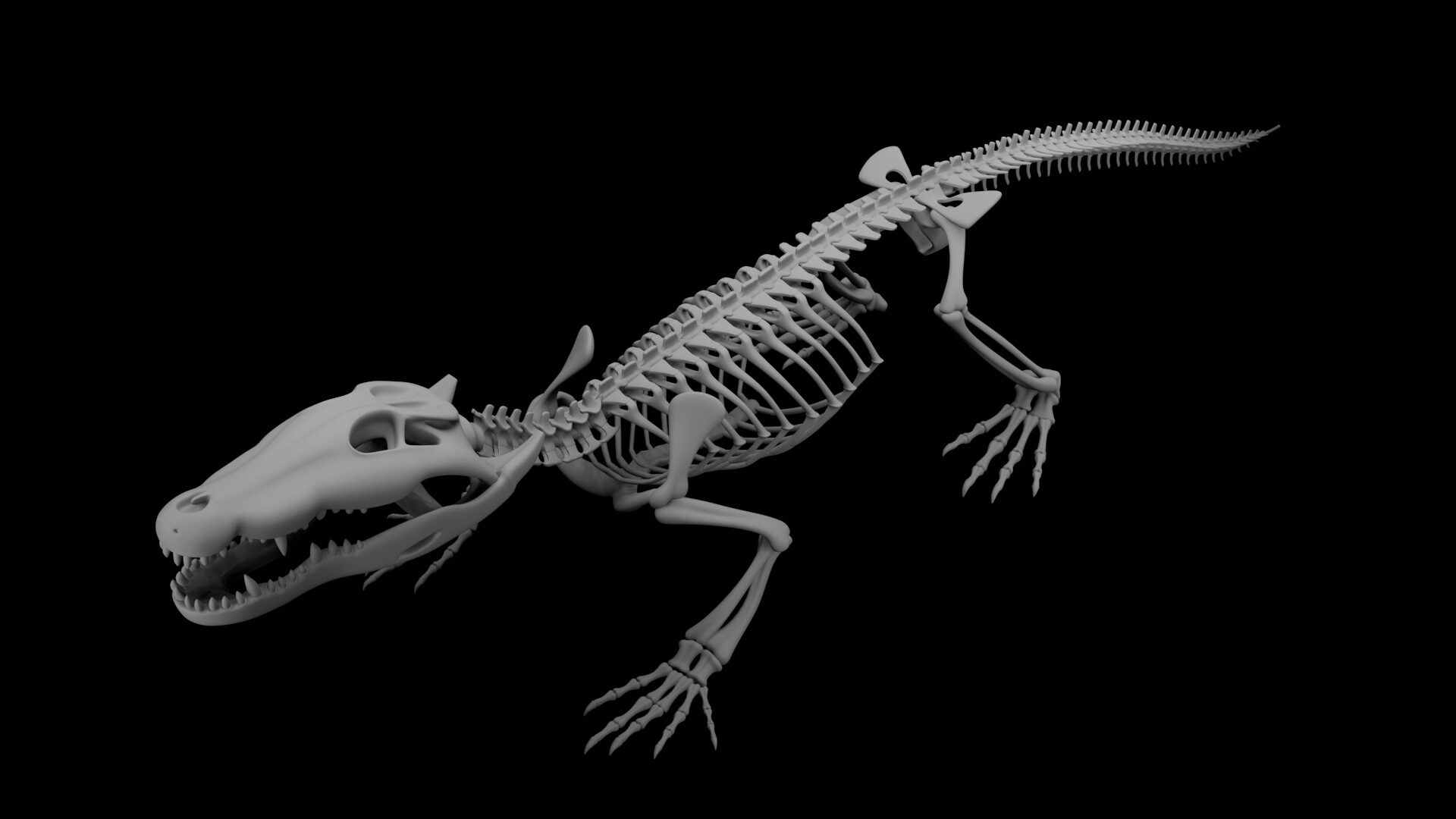 Crocodile Skeleton 3D Model – Highly Detailed, Clean T by Jerry10