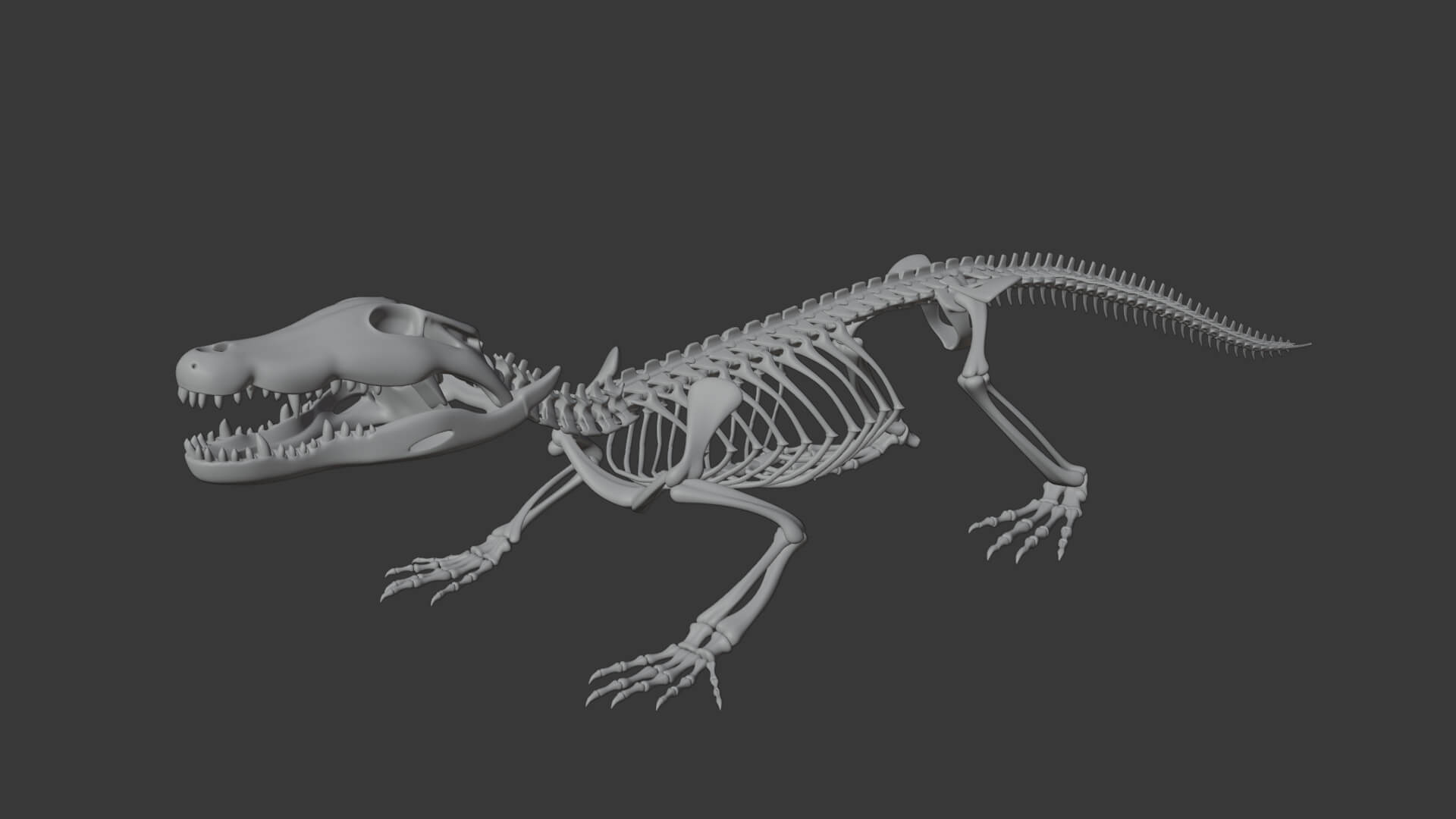 Crocodile Skeleton 3D Model – Highly Detailed, Clean T by Jerry10