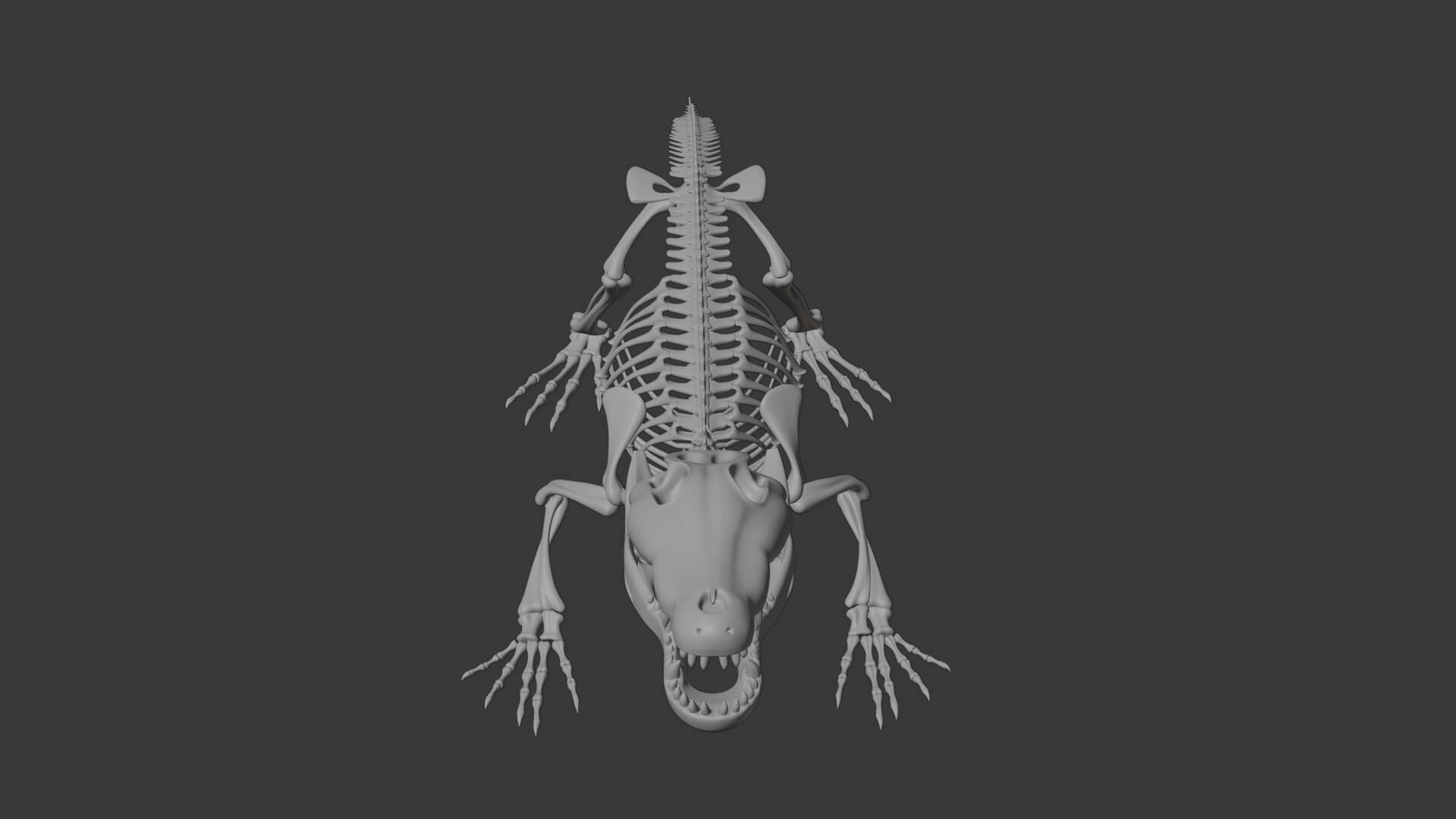 Crocodile Skeleton 3D Model – Highly Detailed, Clean T by Jerry10