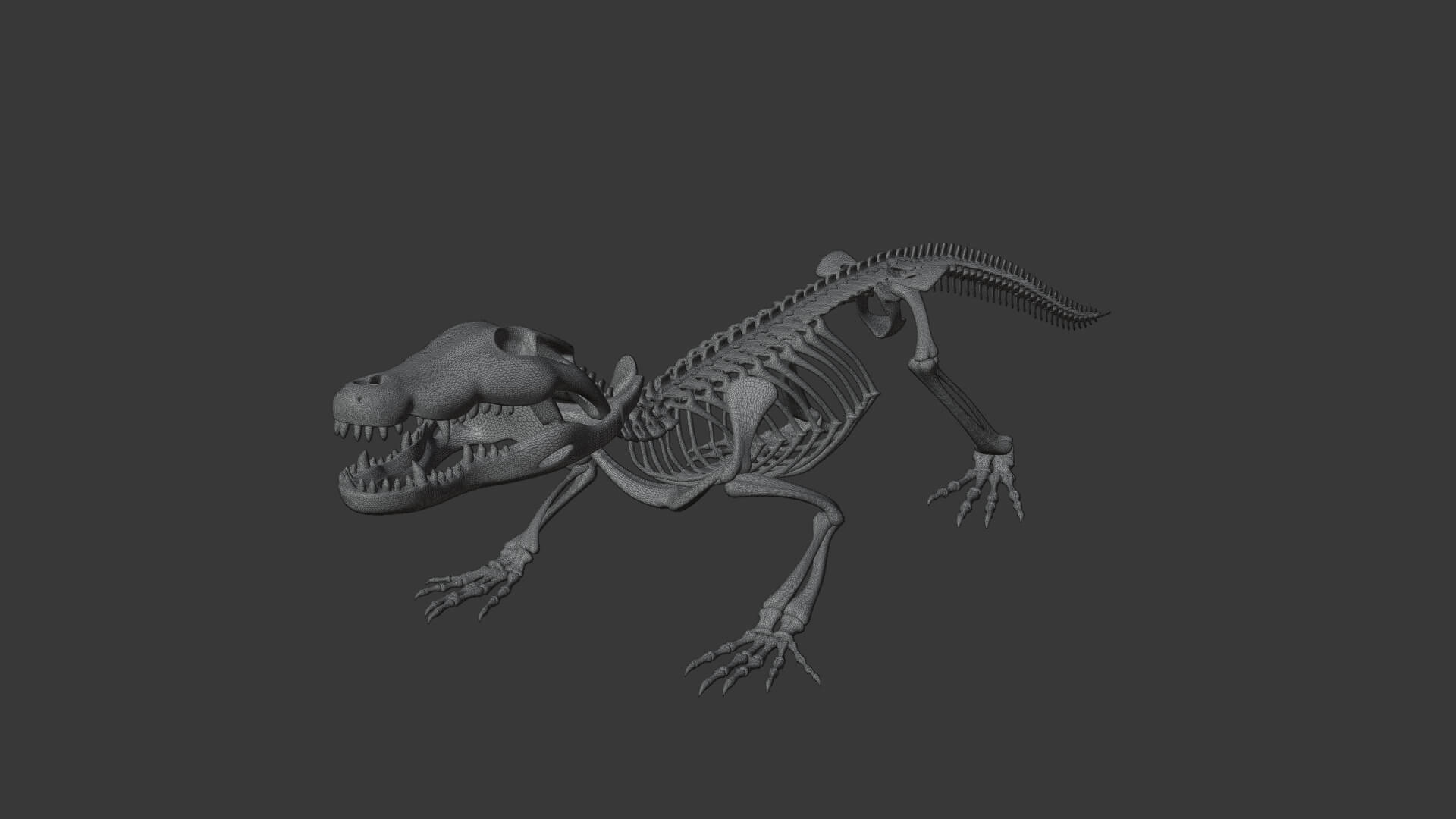 Crocodile Skeleton 3D Model – Highly Detailed, Clean T by Jerry10