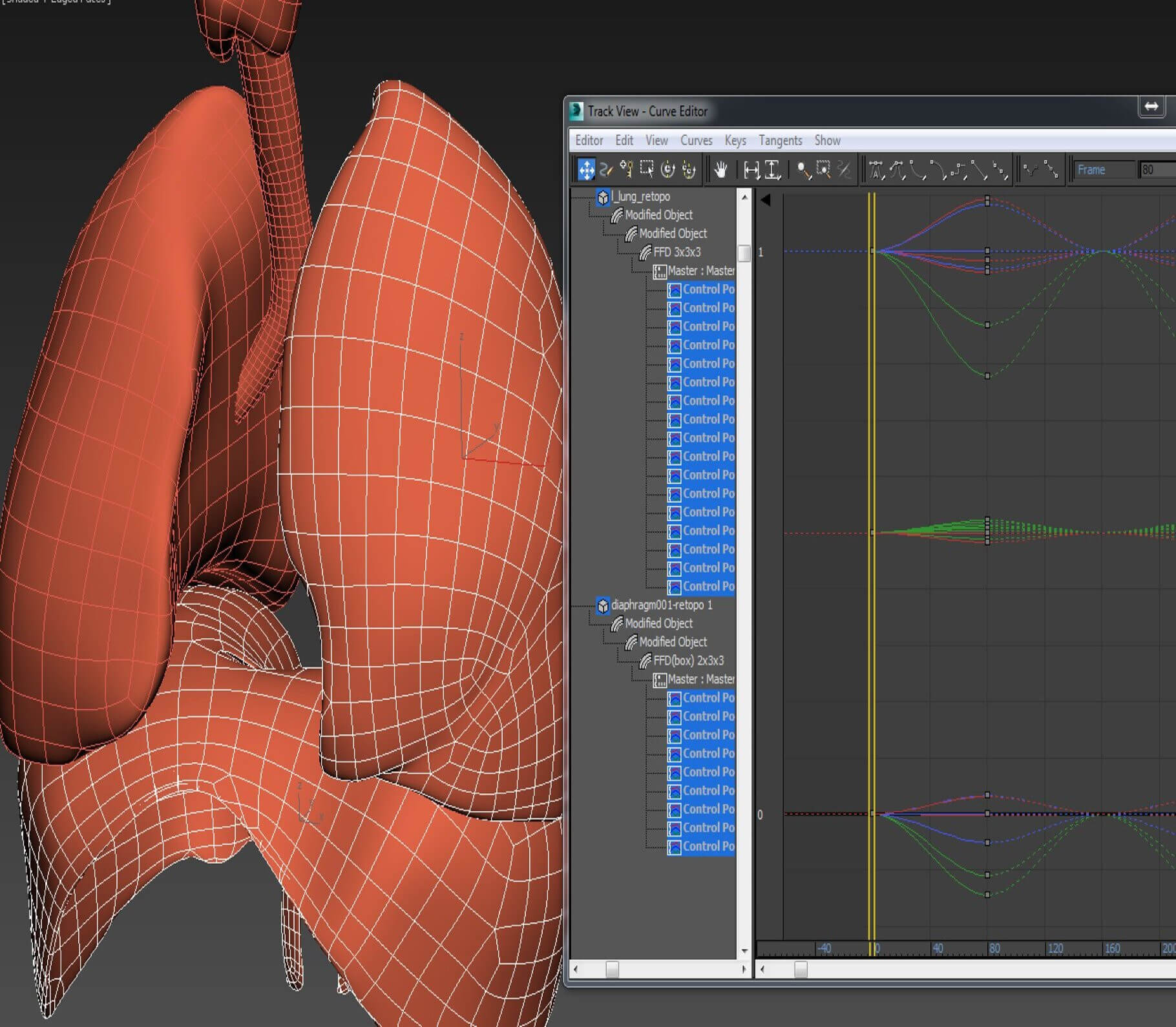 Lungs Animated - 3D Model by Joanne10