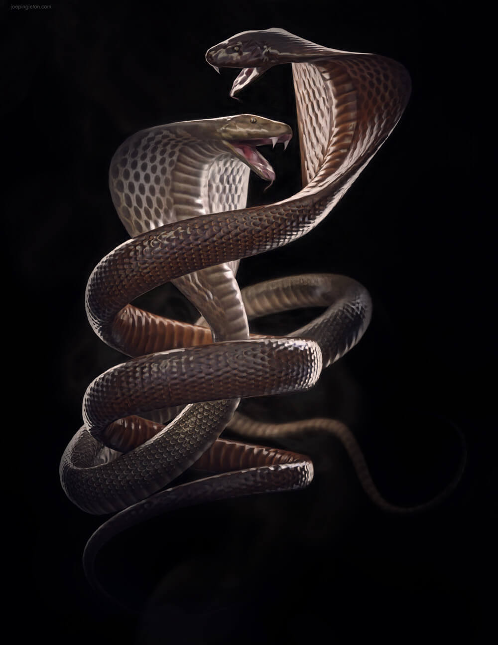 Dance Of The Cobras 3D Render, Digital Art by joepingleton