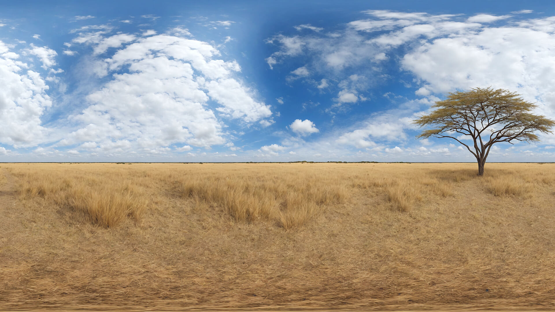 50 HDRI Savanna Skyboxes - HDR Image by Johny1981