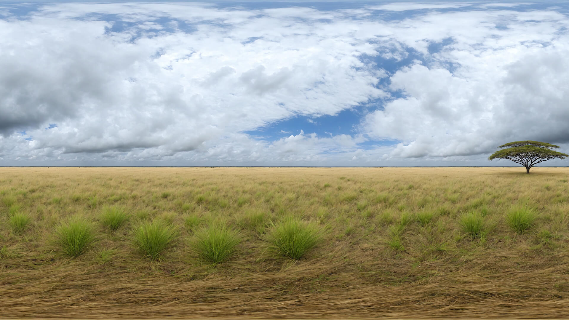 50 HDRI Savanna Skyboxes - HDR Image by Johny1981