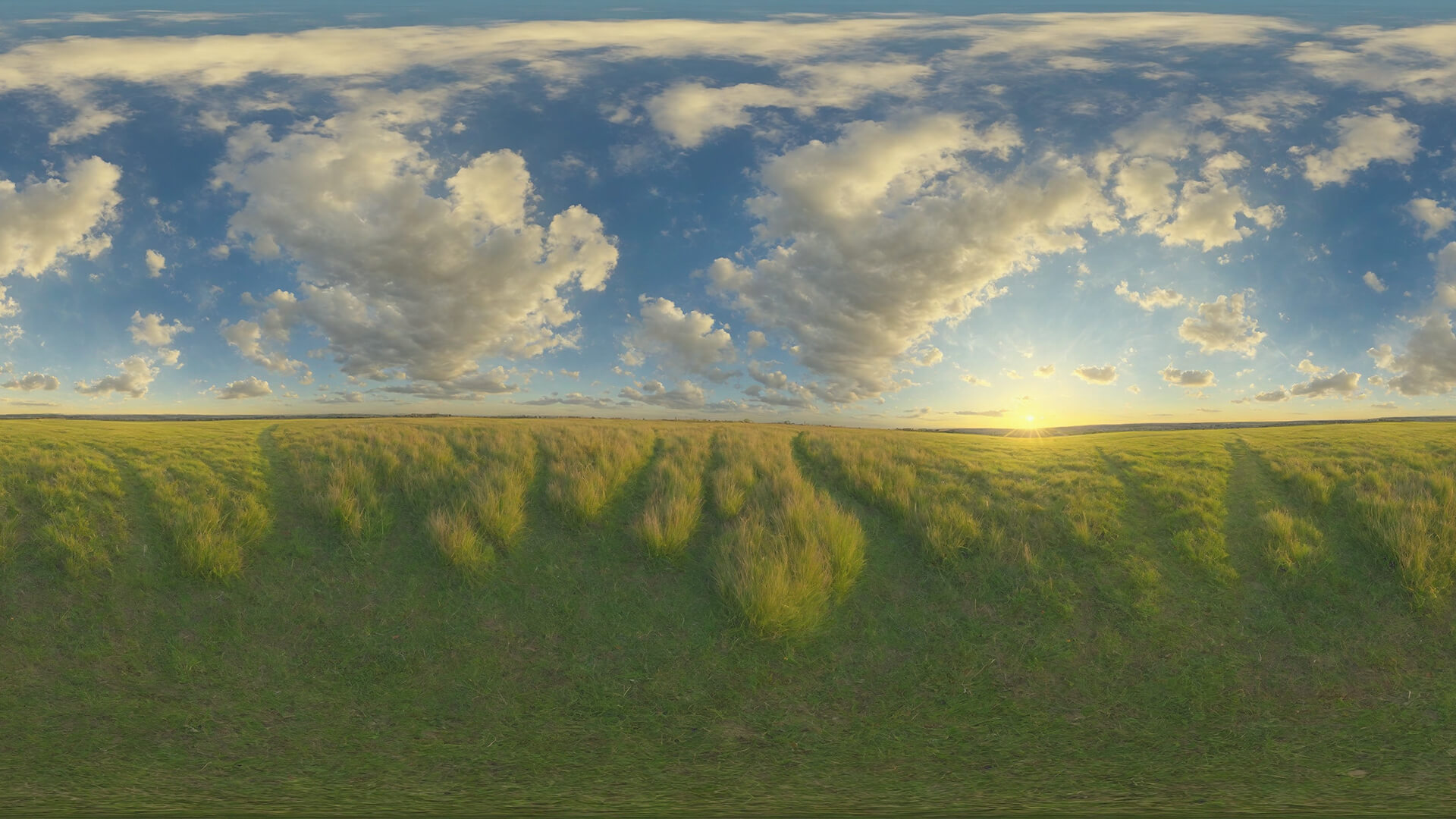 53 HDRI Grasslands Skyboxes - HDR Image by Johny1981