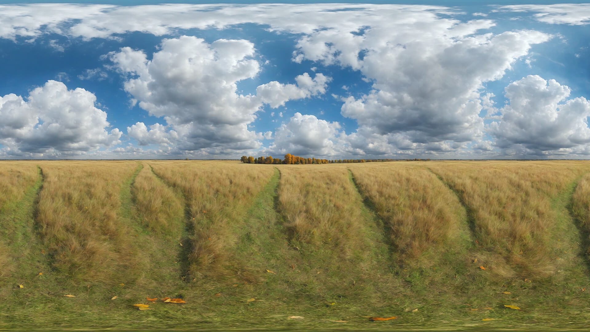 53 HDRI Grasslands Skyboxes - HDR Image by Johny1981