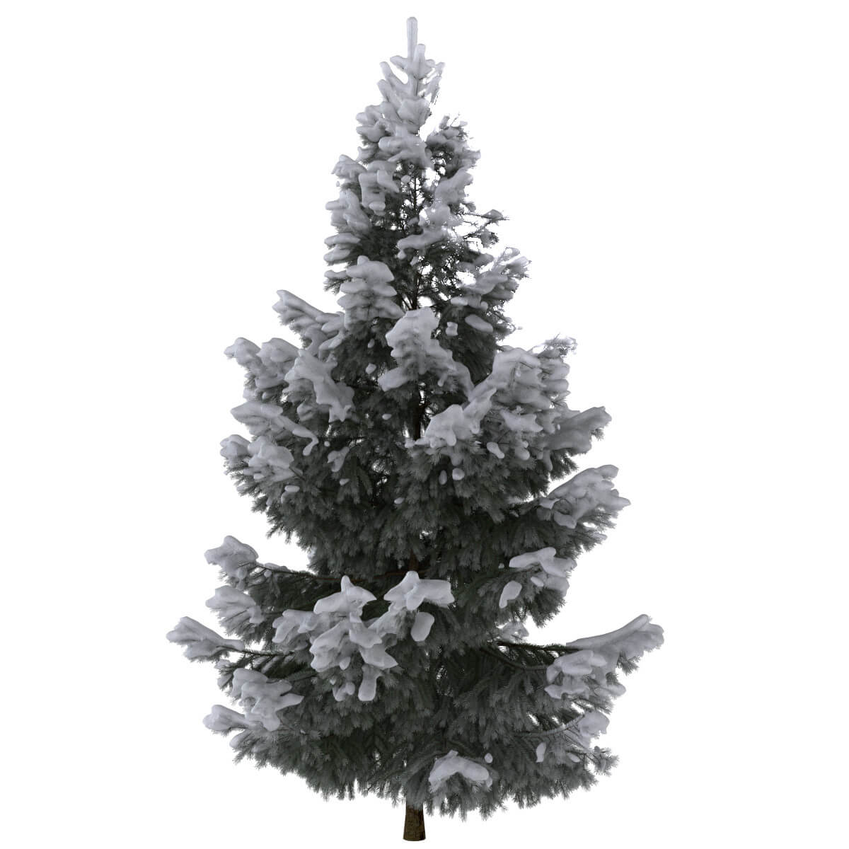 Winter Fir Tree 01 - 3D Model by Jull