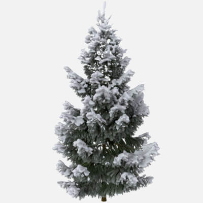 Winter Fir Tree 01 - 3D Model by Jull