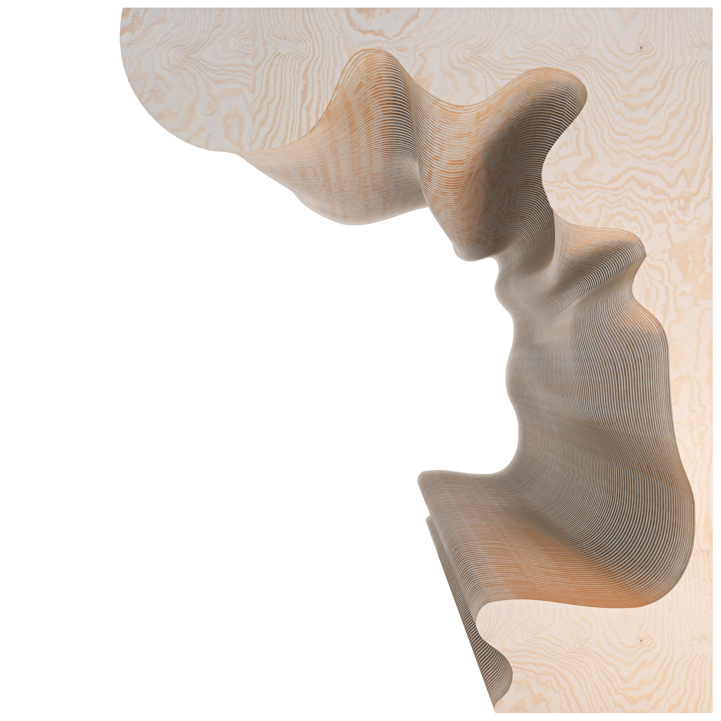 Parametric Wall - 3D Model by jullietta