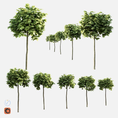 3D Models | Trees | Trees | RenderHub