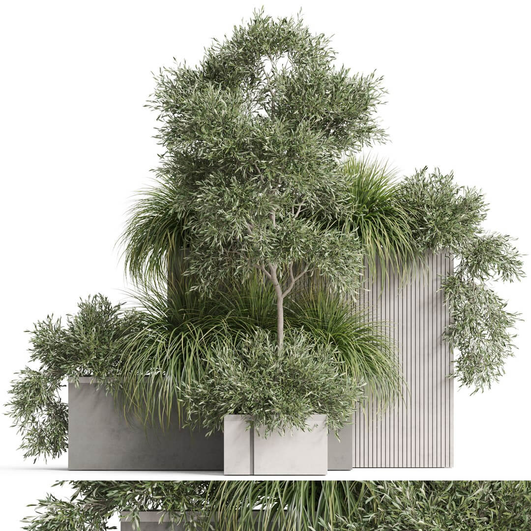 Plants Collection2 - 3D Model by kabten-mimo2024