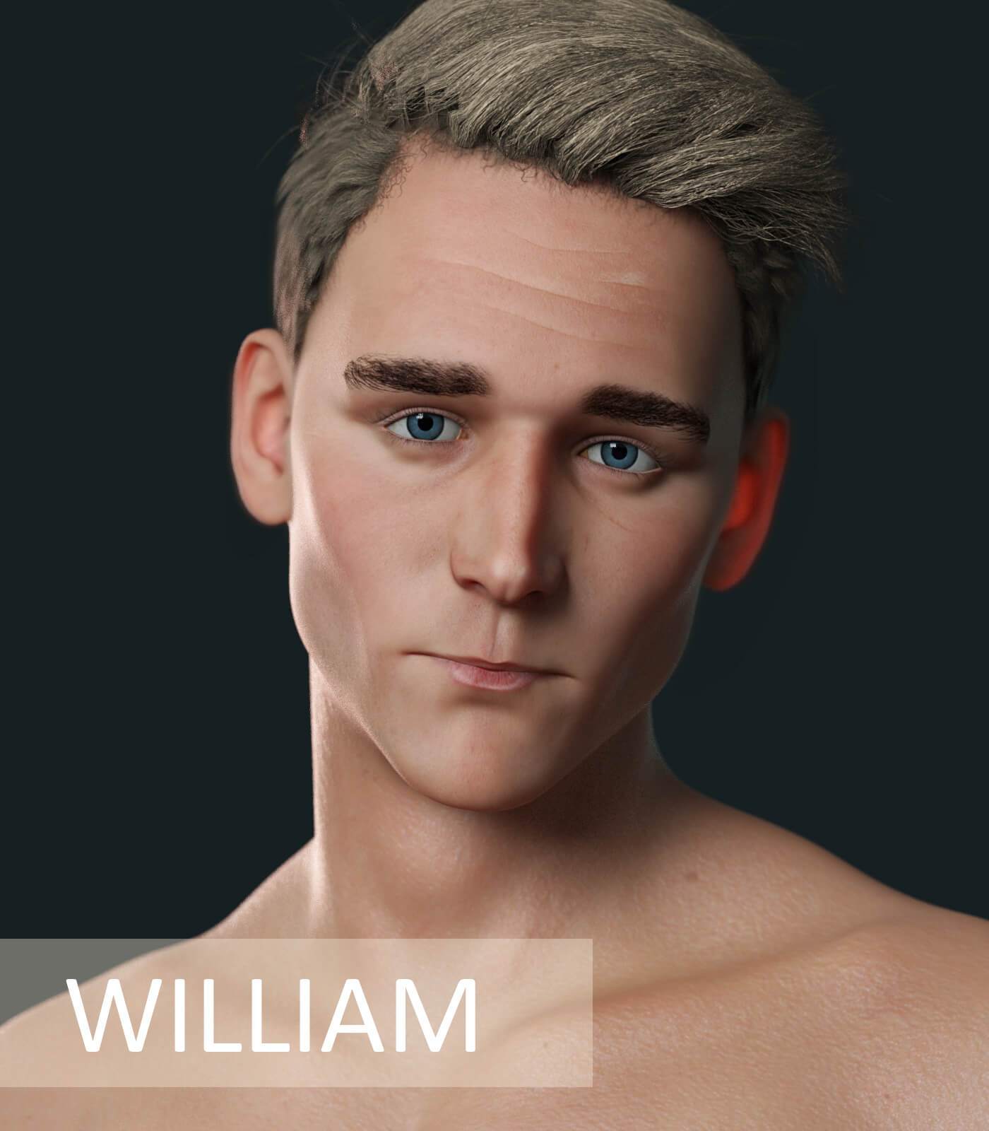 William for Genesis 8 Male - Daz Content by Kadaj777