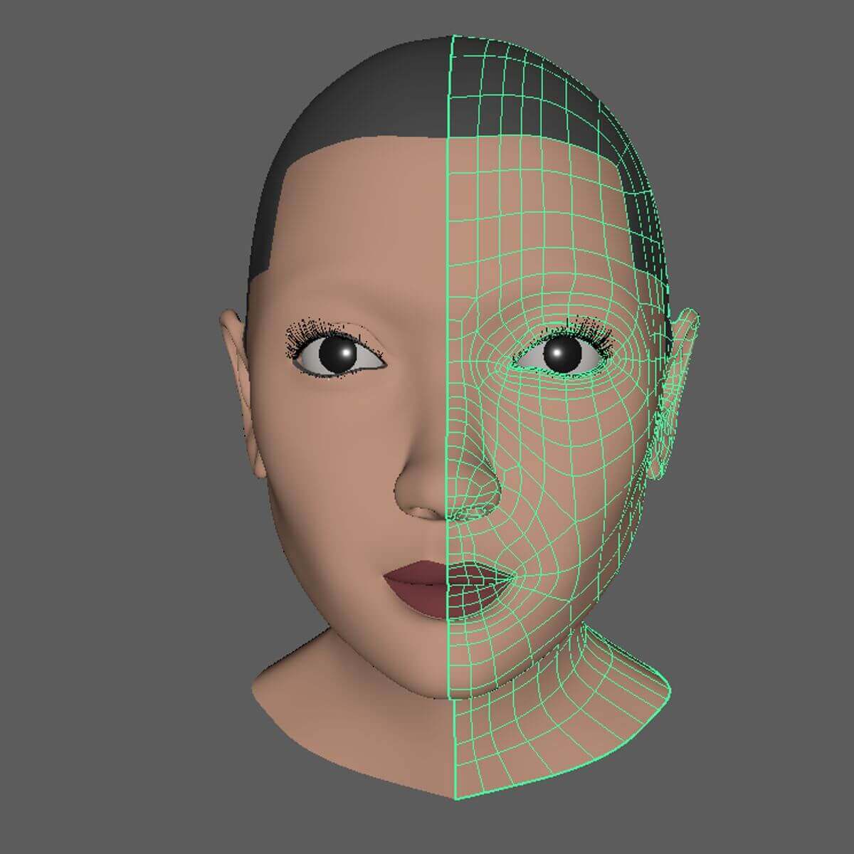 Female Head - 3D Model by Kainar