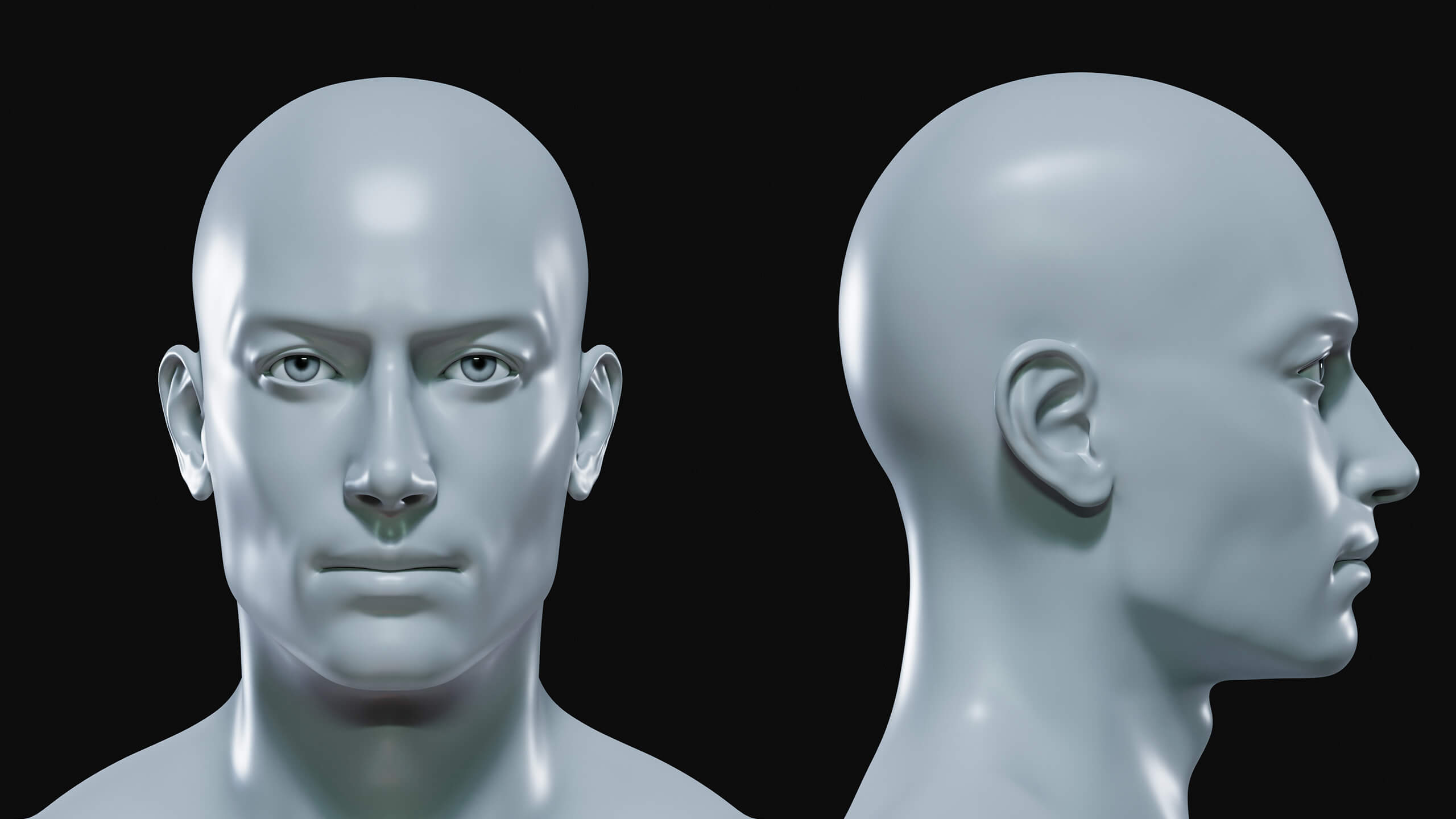 Realistic Athletic Human Body Base Mesh - 3D Model by Kaipis