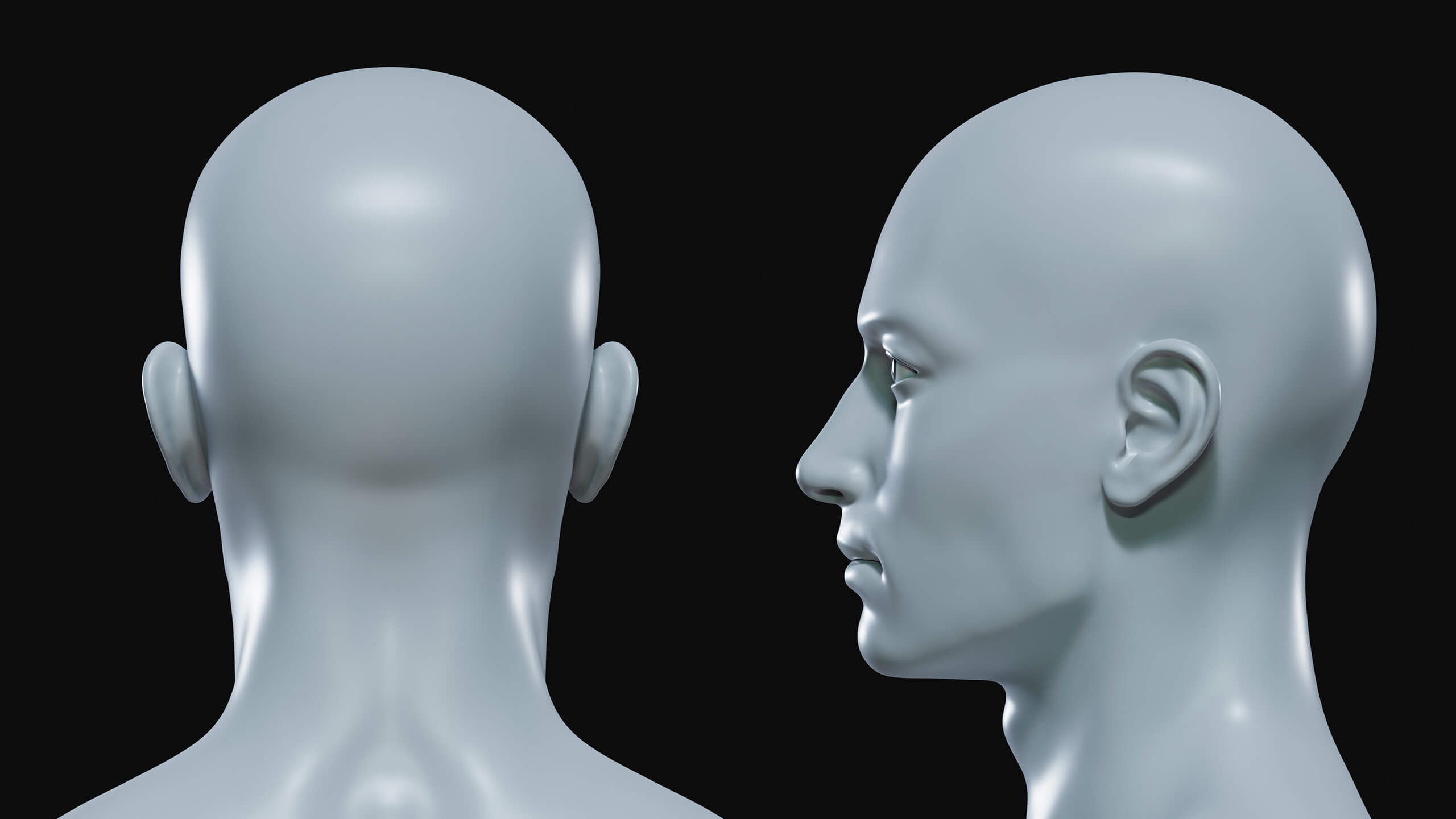 Realistic Athletic Human Body Base Mesh - 3D Model by Kaipis