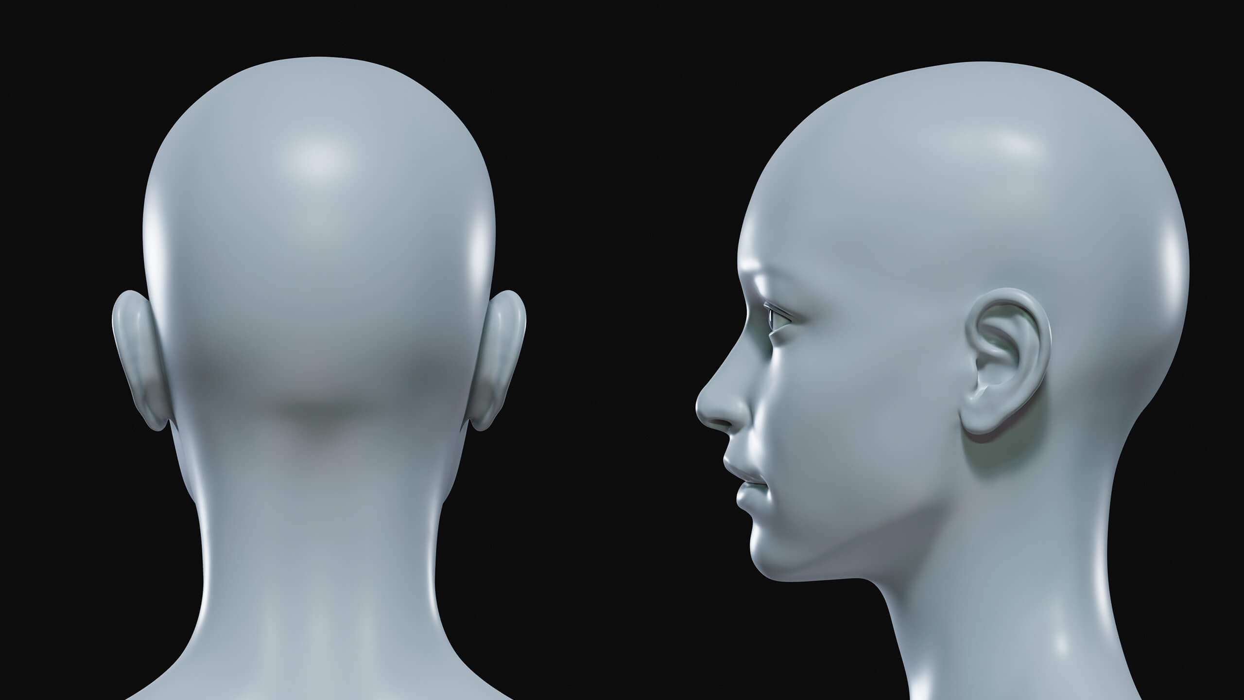 Realistic Athletic Human Body Base Mesh - 3D Model by Kaipis