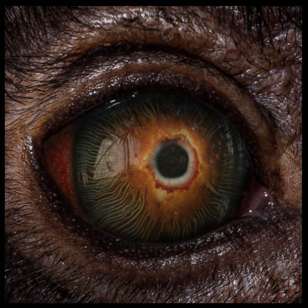 Beast Fantasy Eyes Vol 02 - PBR 3D Texture by Kallie5103