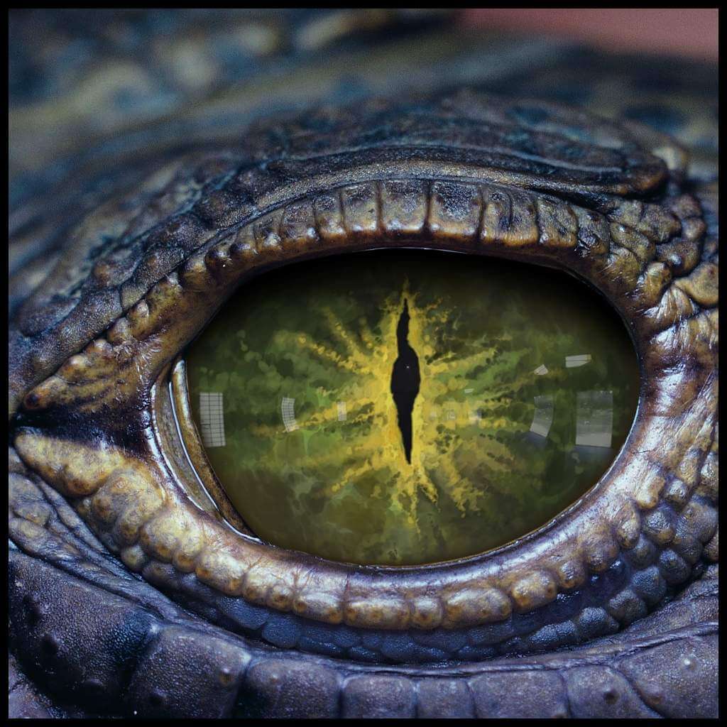 Creature Eye Texture Maps Vol 01 by Kallie5103