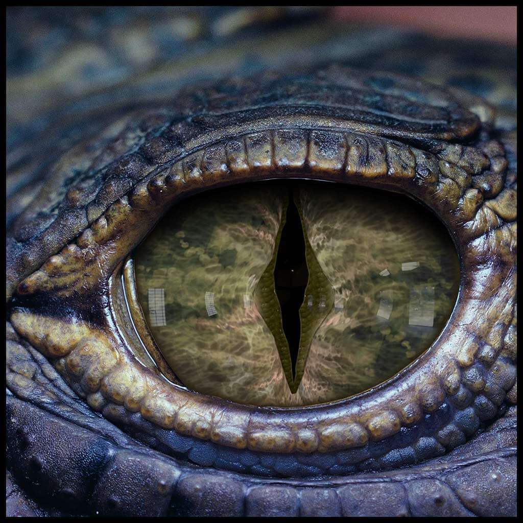 Creature Eye Texture Maps Vol 01 by Kallie5103