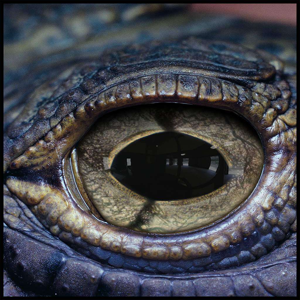 Creature Eye Textures - Vol 03 3D Texture by Kallie5103