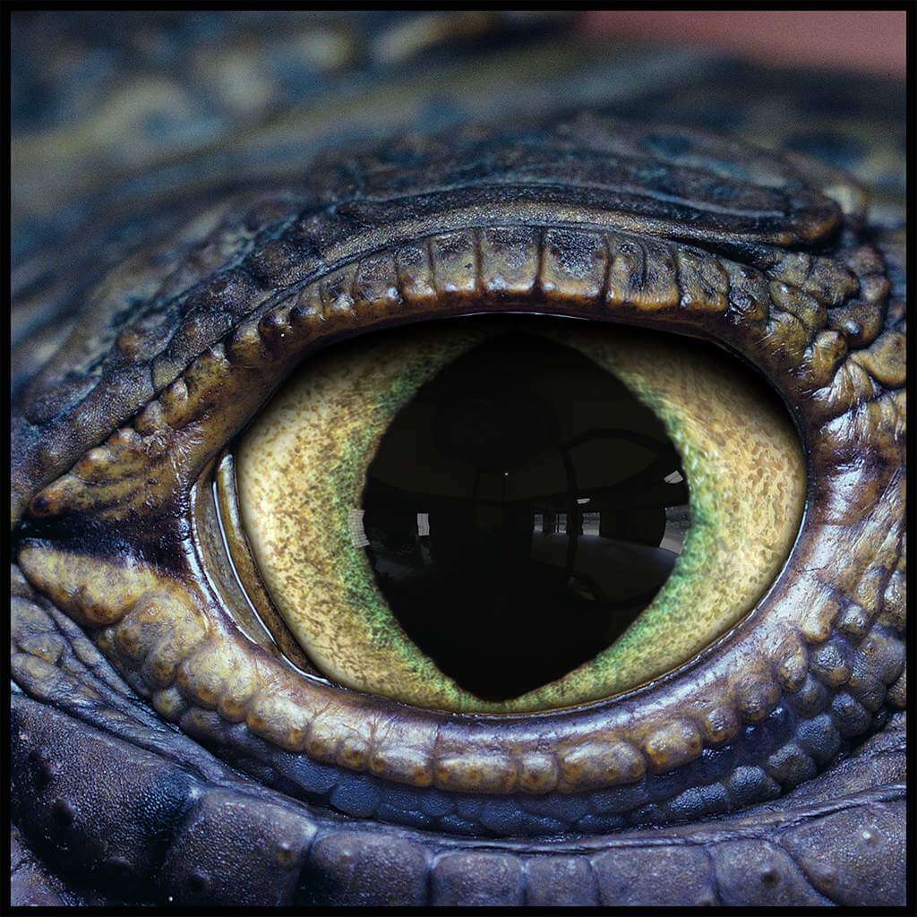 Creature Eye Textures - Vol 03 3D Texture by Kallie5103