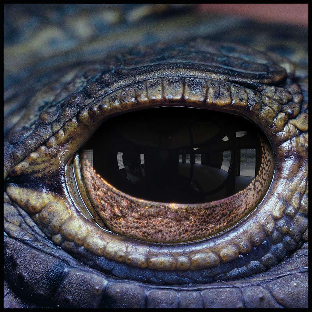 Creature Eye Textures - Vol 03 3D Texture by Kallie5103