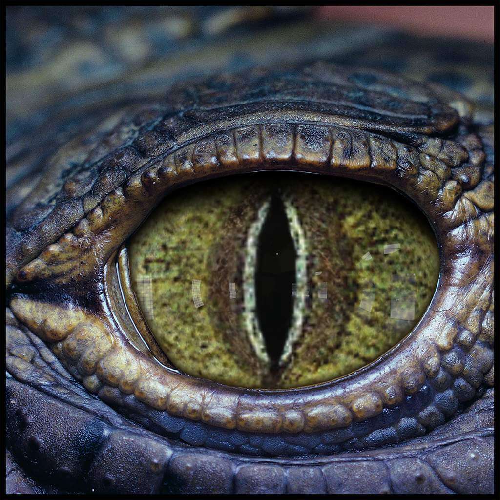 Creature Eye Textures - Vol 03 3D Texture by Kallie5103