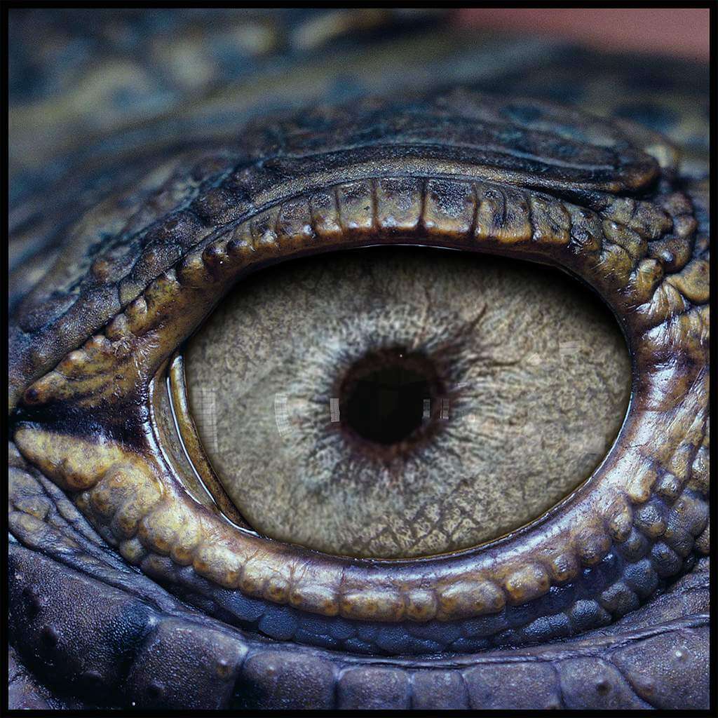 Reptile Eye Texture